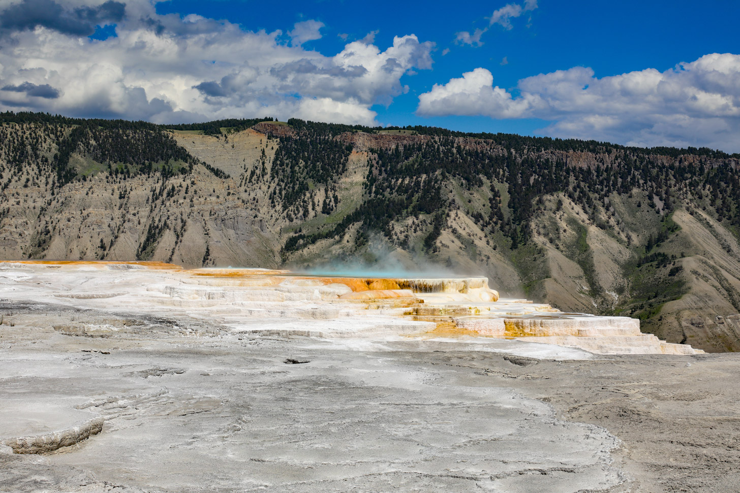 Yellowstone N.P. top 10 bezienswaardigheden